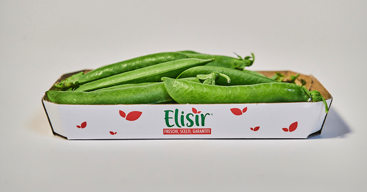 Elisir's promotional campaign continues on Rai - CIBUS LINK