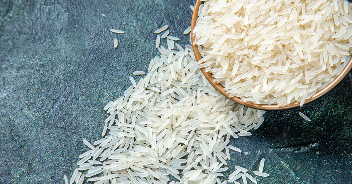 Agreement between Euricom and Fatima: new rice mill for export to ...