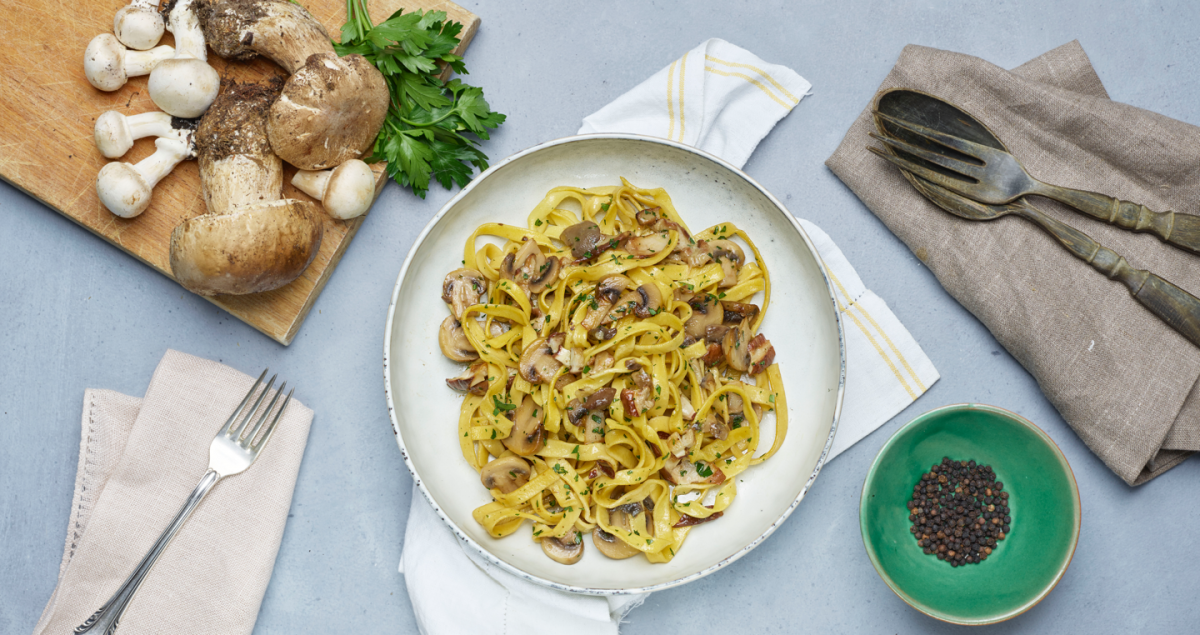 Wealth Venture Fund acquires Gelit - CIBUS LINK