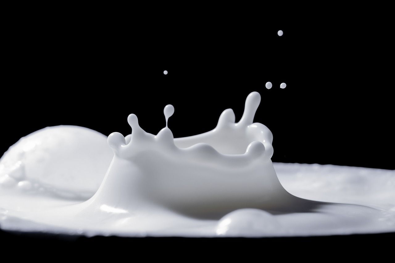 Capsa Food becomes majority shareholder of Innolact - CIBUS LINK