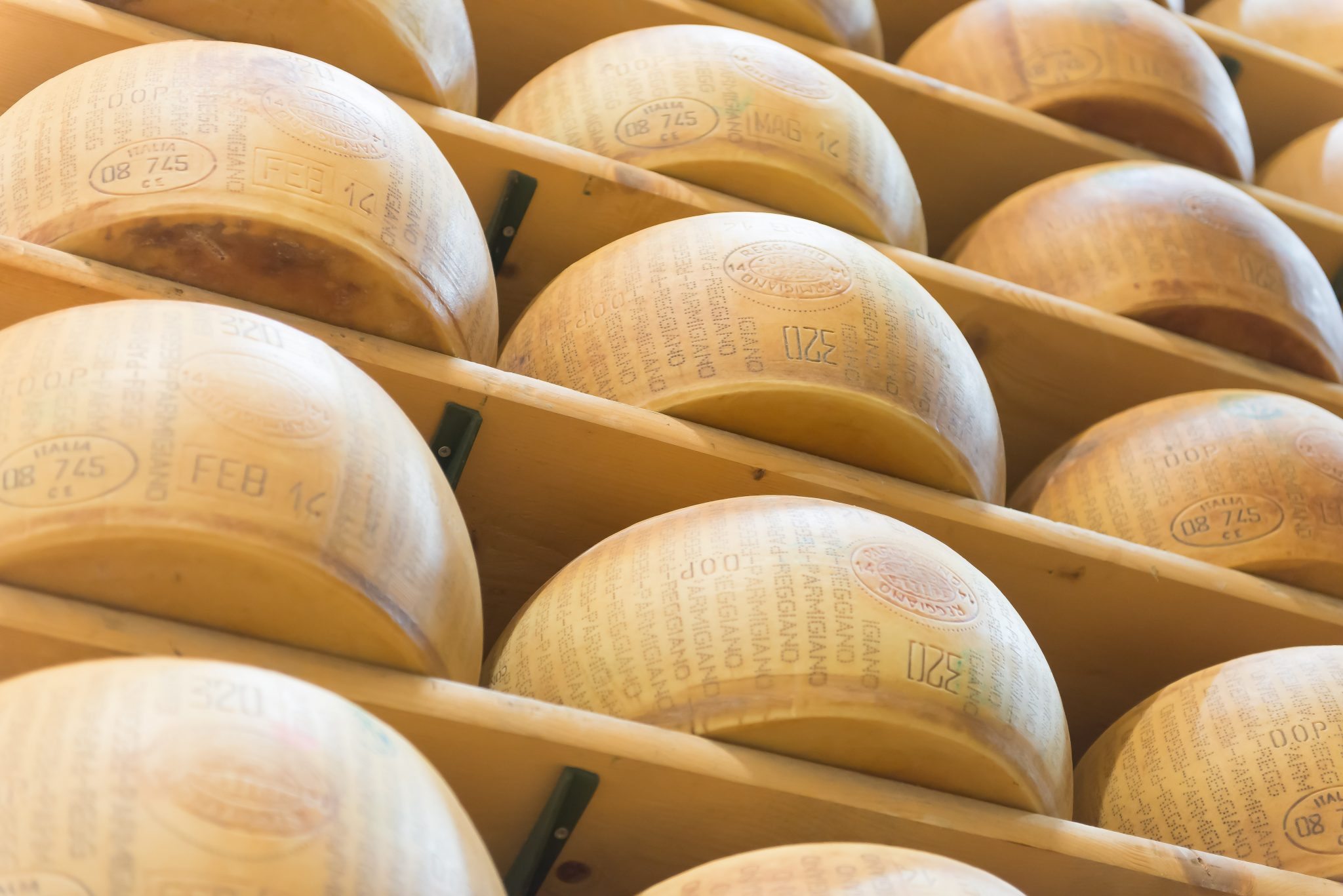 With milk prices at rock-bottom, the Italian supply chain signs a pact ...