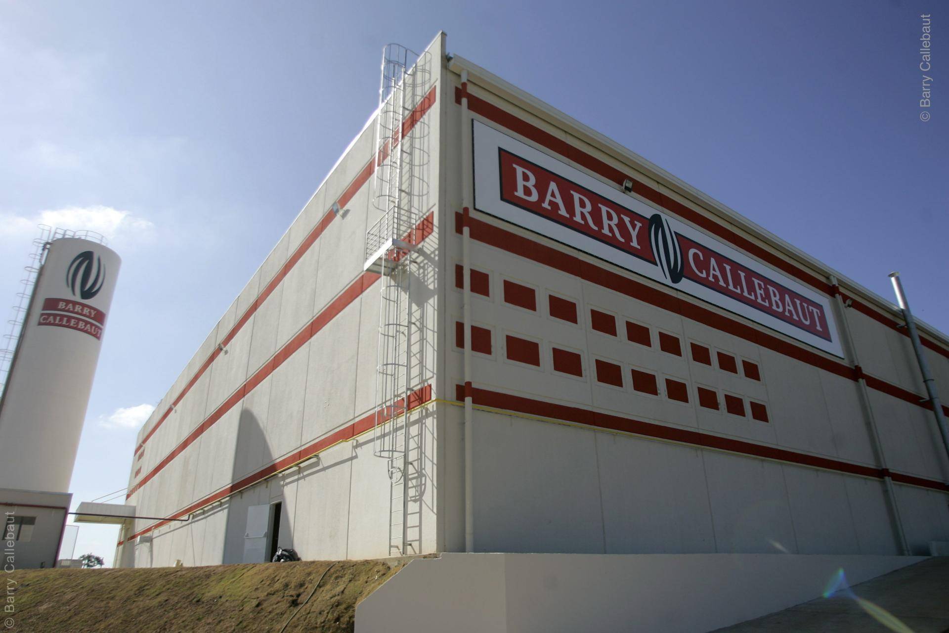Strategy and Governance: The Barry Callebaut Case and the Rift in the ...